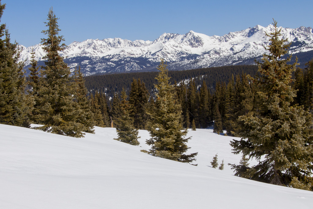 A Guide for Preparing Your Business for Winter Expenses - Cohesia